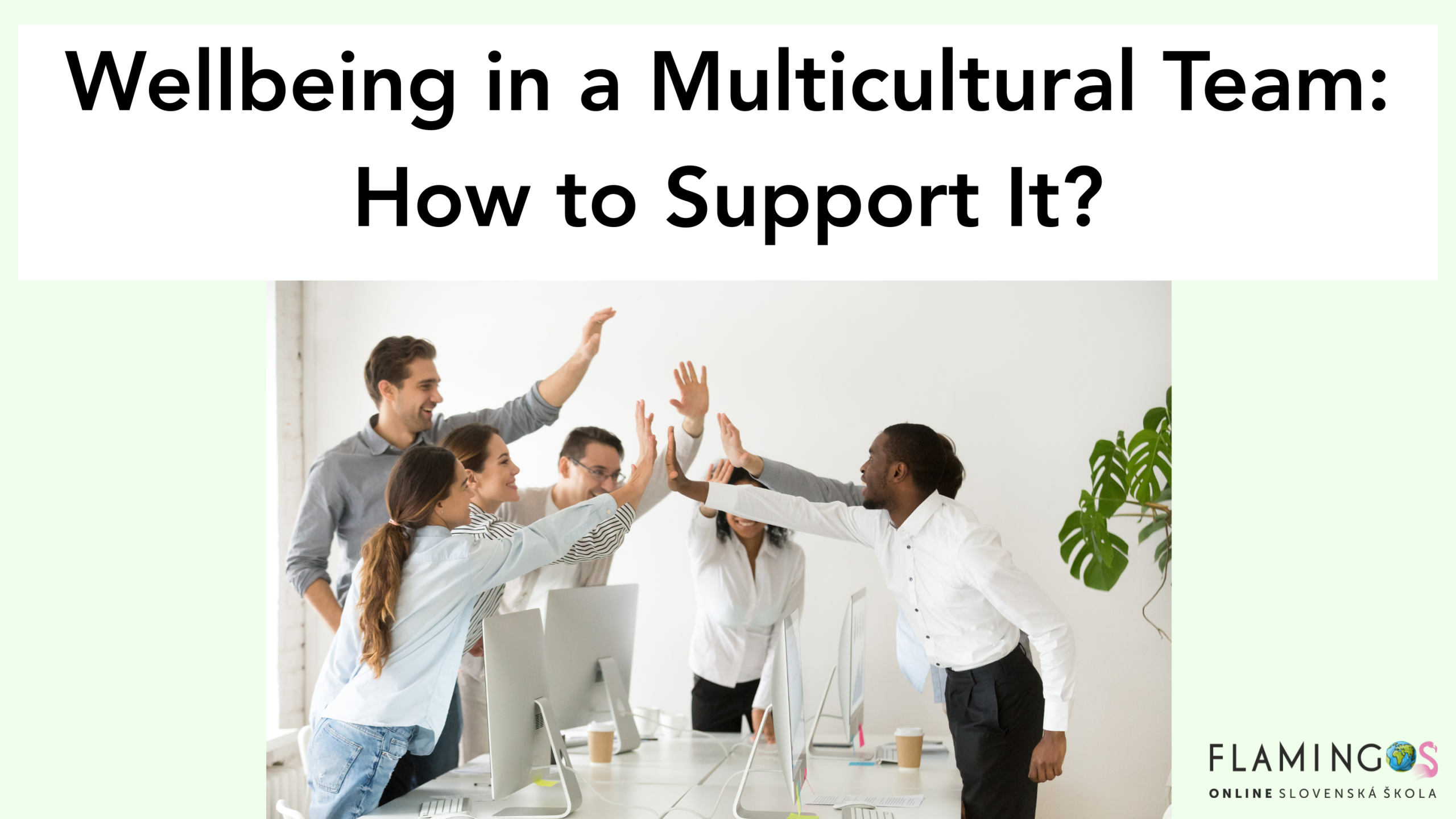Wellbeing in a Multicultural Team: How to Support It - Flamingos School